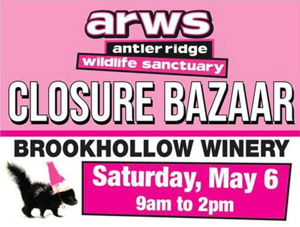 This Week in the New Jersey Skylands